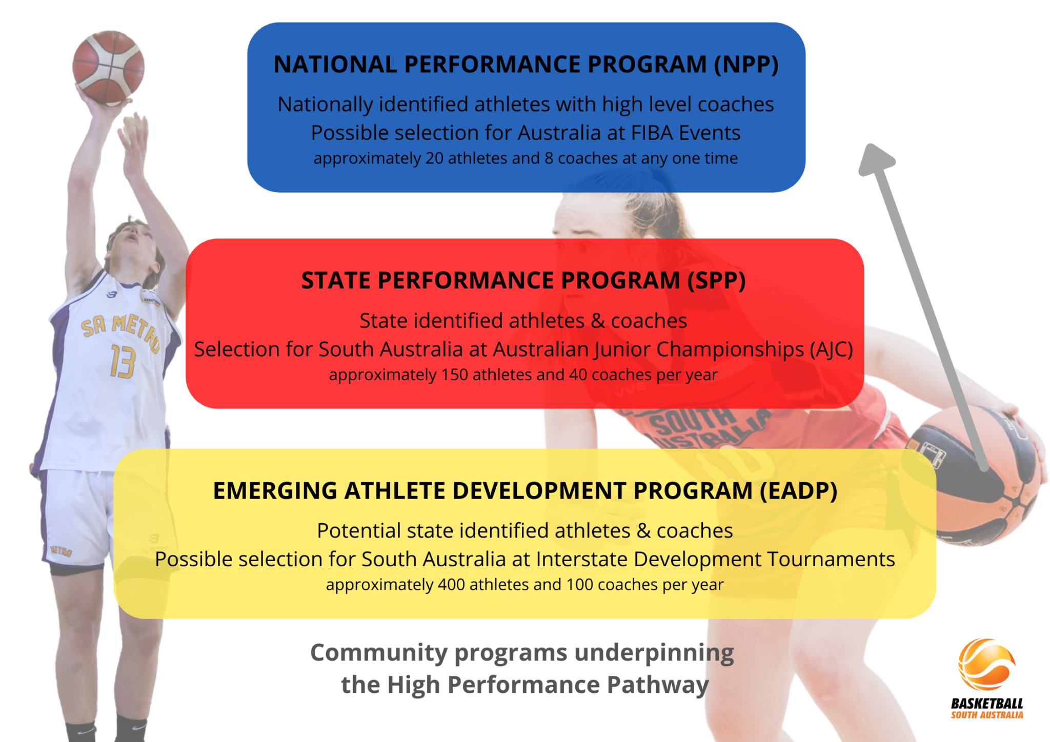 High Performance - Basketball SA